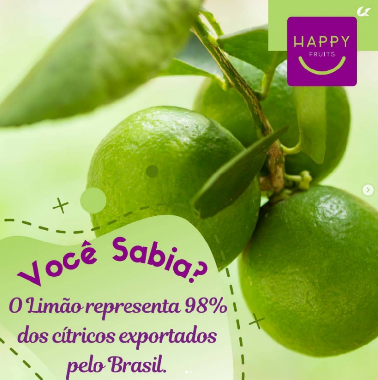Limão representa 98% dos cítricos exportados pelo Brasil – Happy Fruits